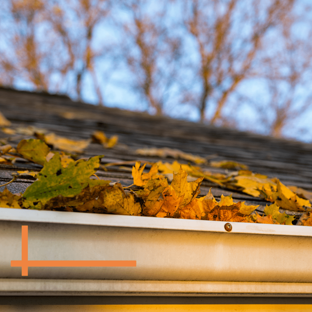 Residential Roofing Tips for the Fall Season - Skyline Contracting
